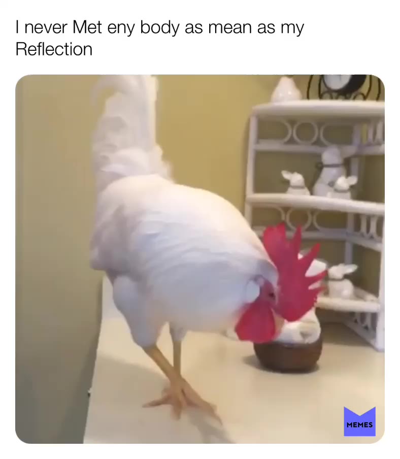 Post By meme cat dog girl 101 Memes Post By meme cat dog girl 101 Memes