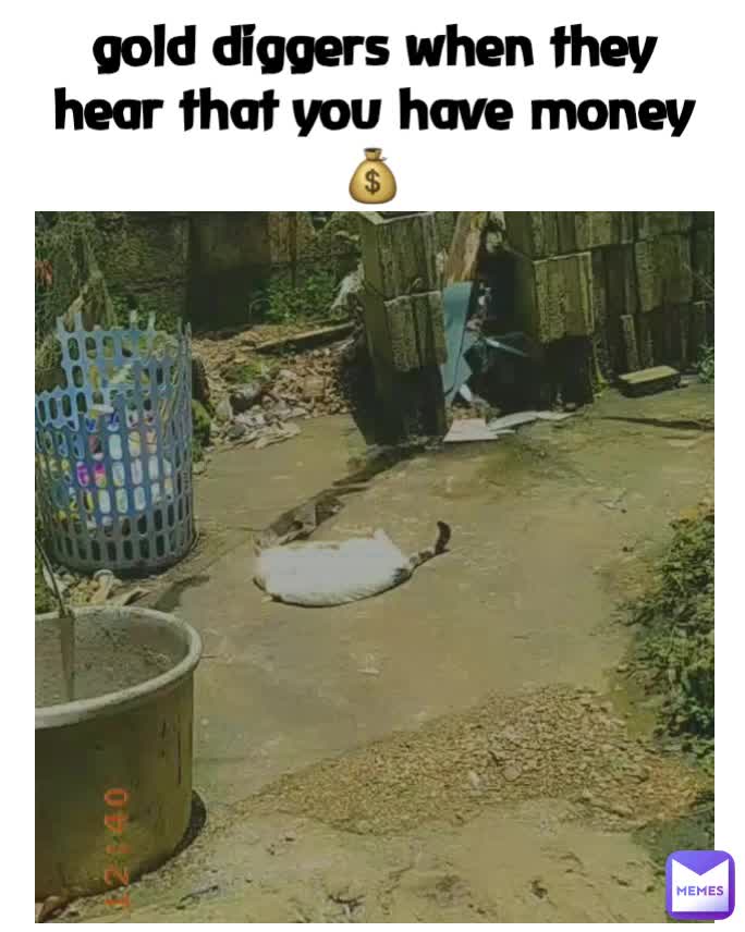gold diggers when they hear that you have money 💰 | @sardinepuss69 | Memes
