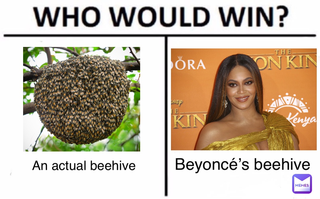 An actual beehive Beyoncé’s beehive | @Zoloft_Memes | Memes