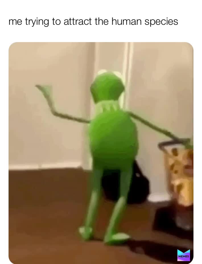 Post by @lauren_is_not_normal | Memes