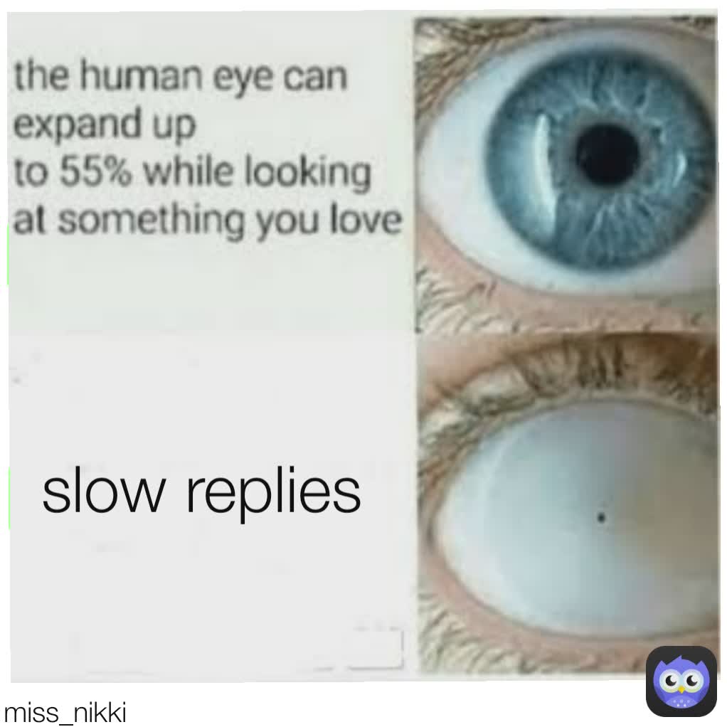 slow replies miss_nikki | @miss_nikki | Memes