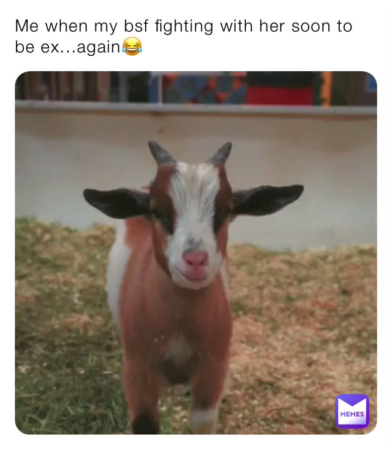 Me when my bsf fighting with her soon to be ex...again😂 | @memer_tyty ...