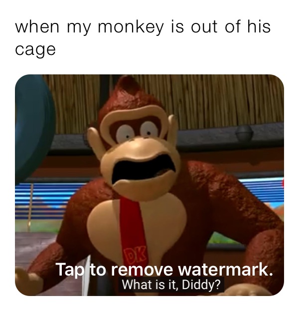when my monkey is out of his cage | @dj_gummyworm | Memes