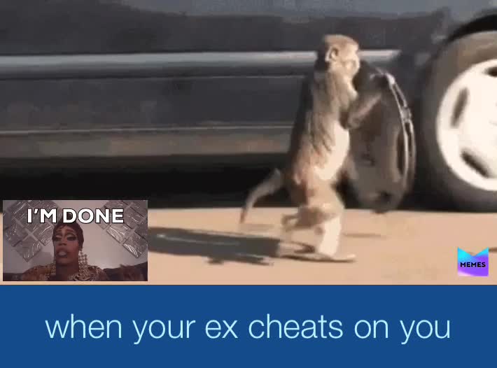 Post by @casual_maw | Memes