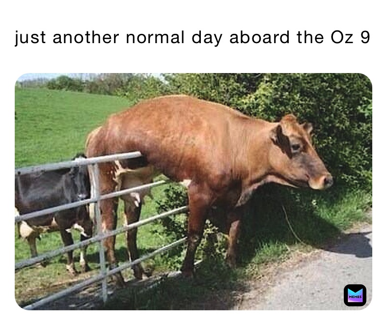 just another normal day aboard the Oz 9 | @nucleartoast | Memes