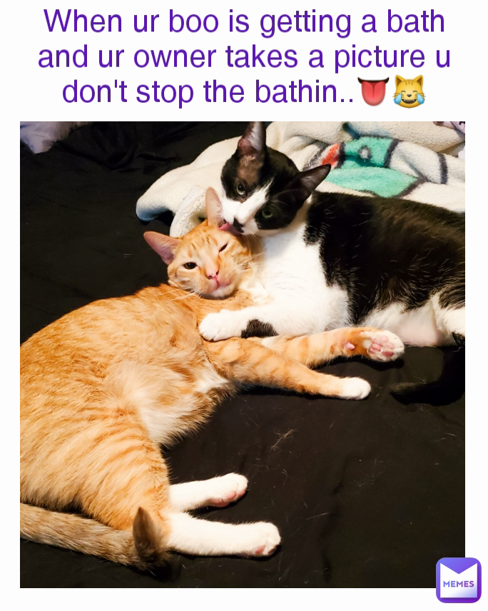 When ur boo is getting a bath and ur owner takes a picture u don't stop ...