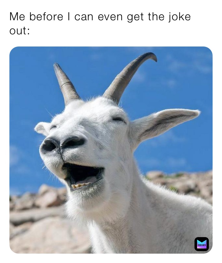 Me before I can even get the joke out: | @MEMES4U_XD | Memes