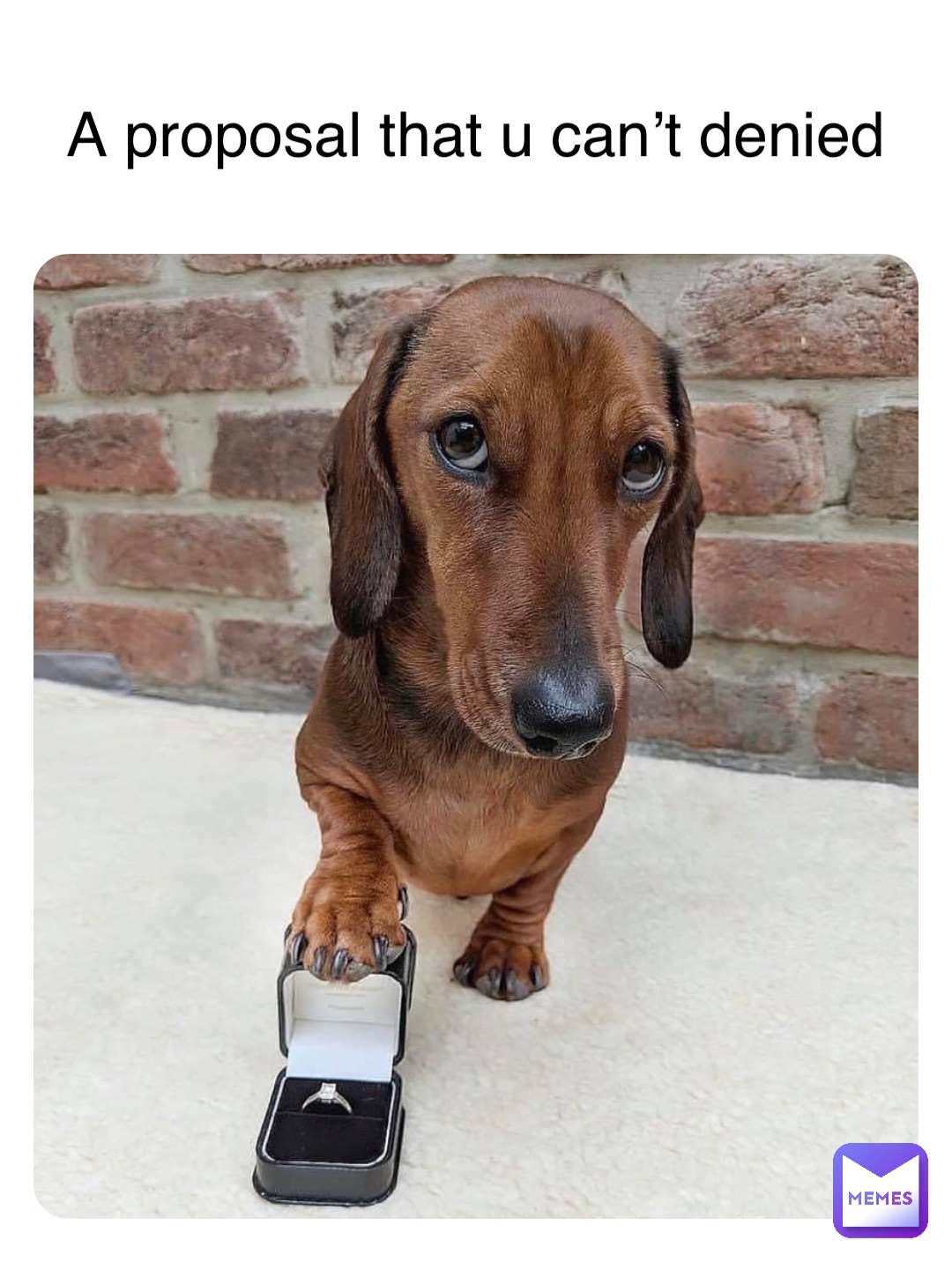 A proposal that u can’t denied | @cmercado922 | Memes