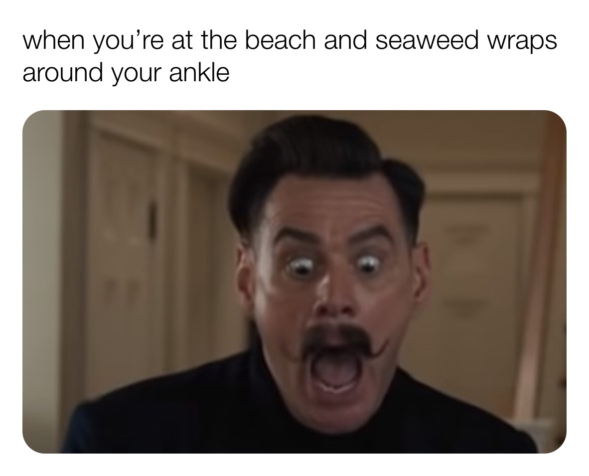 when you’re at the beach and seaweed wraps around your ankle ...