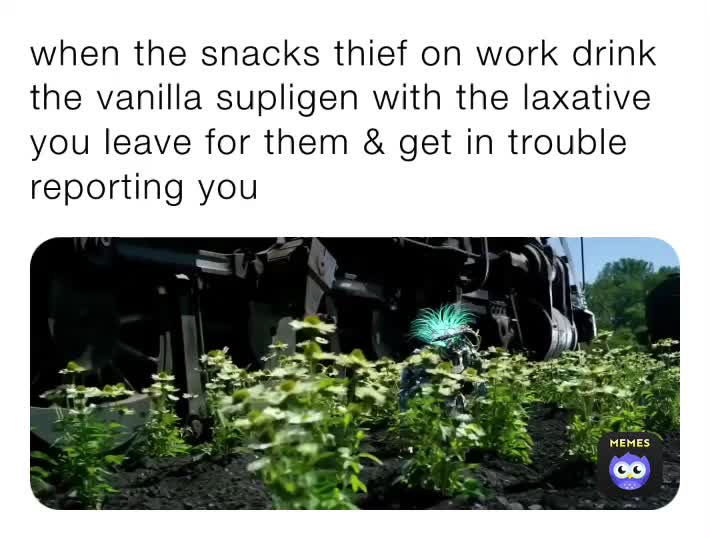 when the snacks thief on work drink the vanilla supligen with the ...