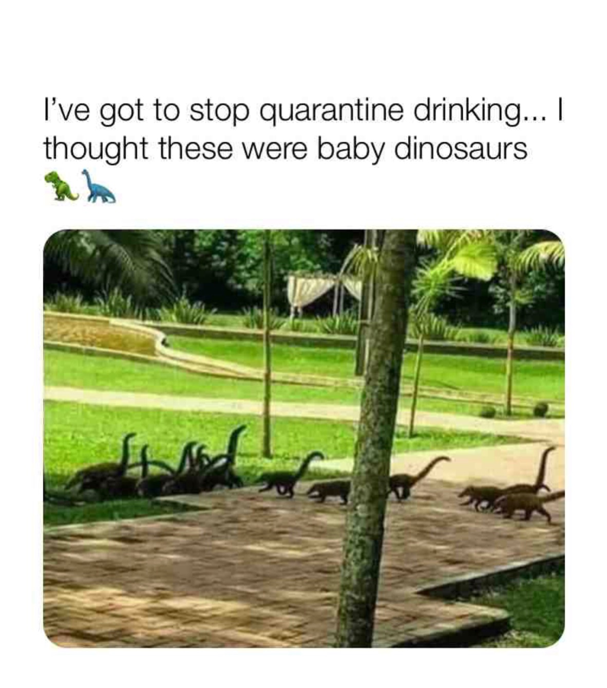Post by @I_got_no_memespt1 | Memes