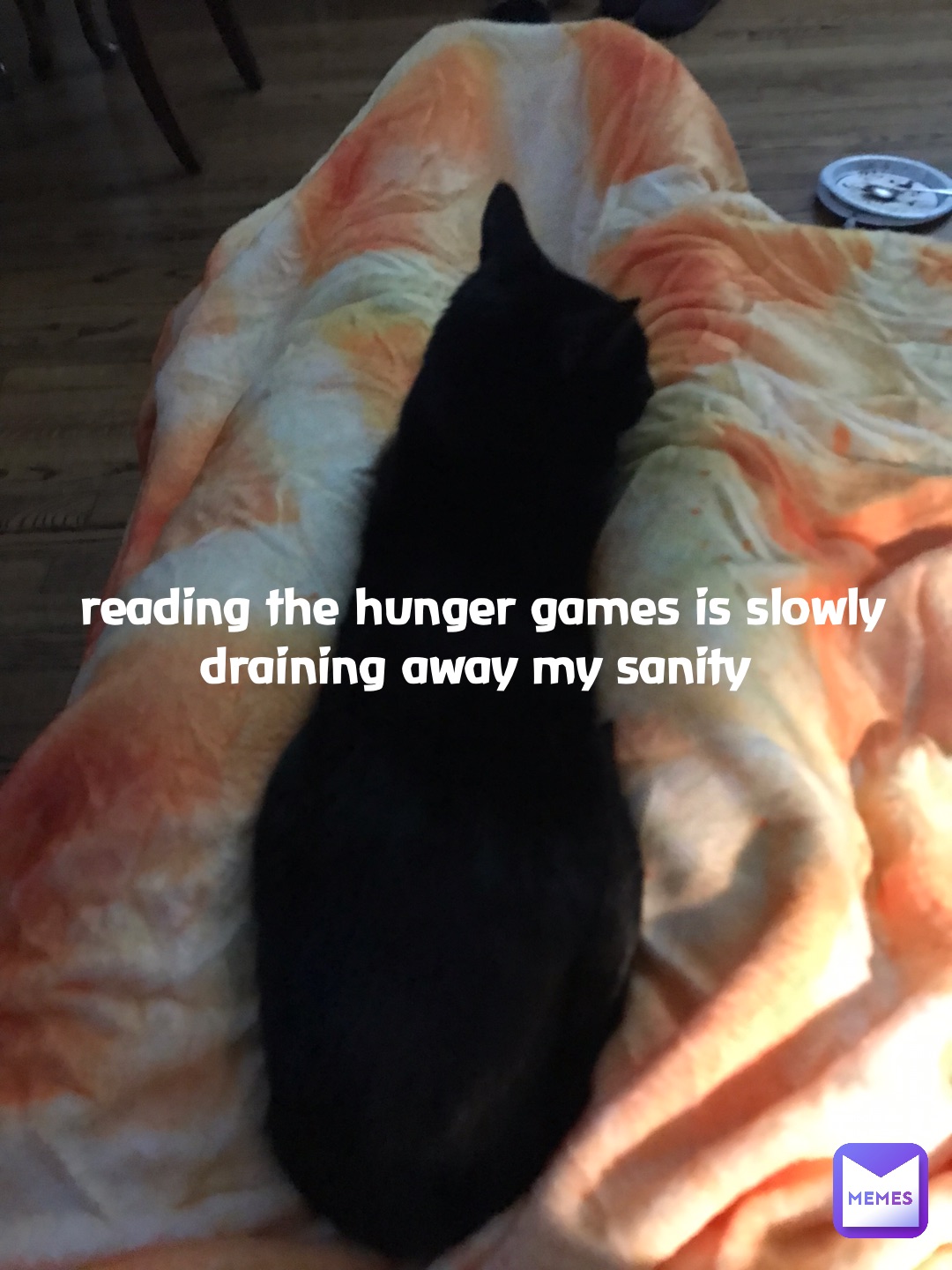 Reading the Hunger Games is slowly draining away my sanity ...