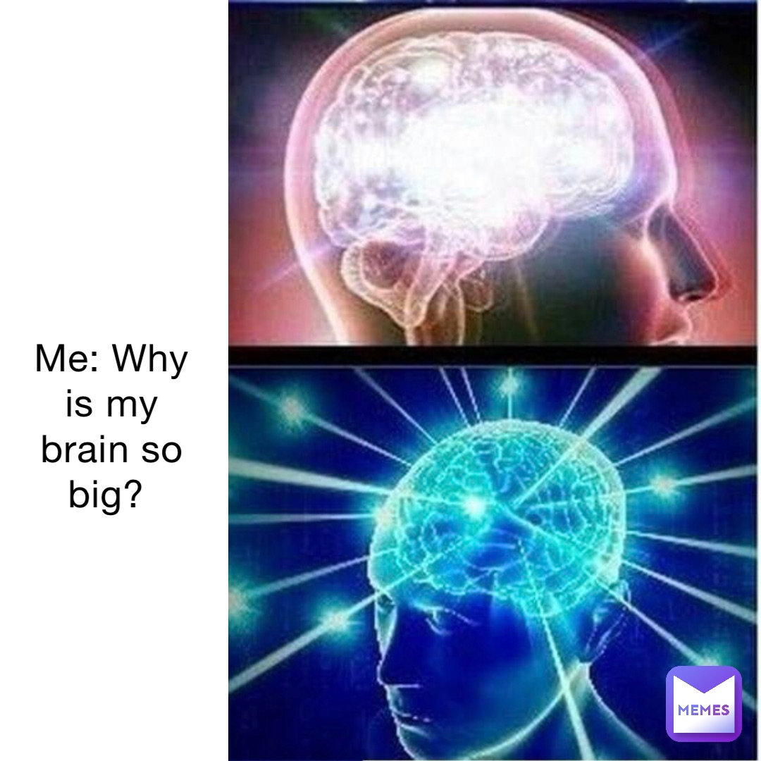 Me Why Is My Brain So Big 9jg9ftdvjh Memes