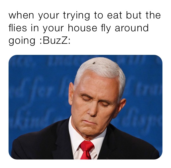 when your trying to eat but the flies in your house fly around going ...