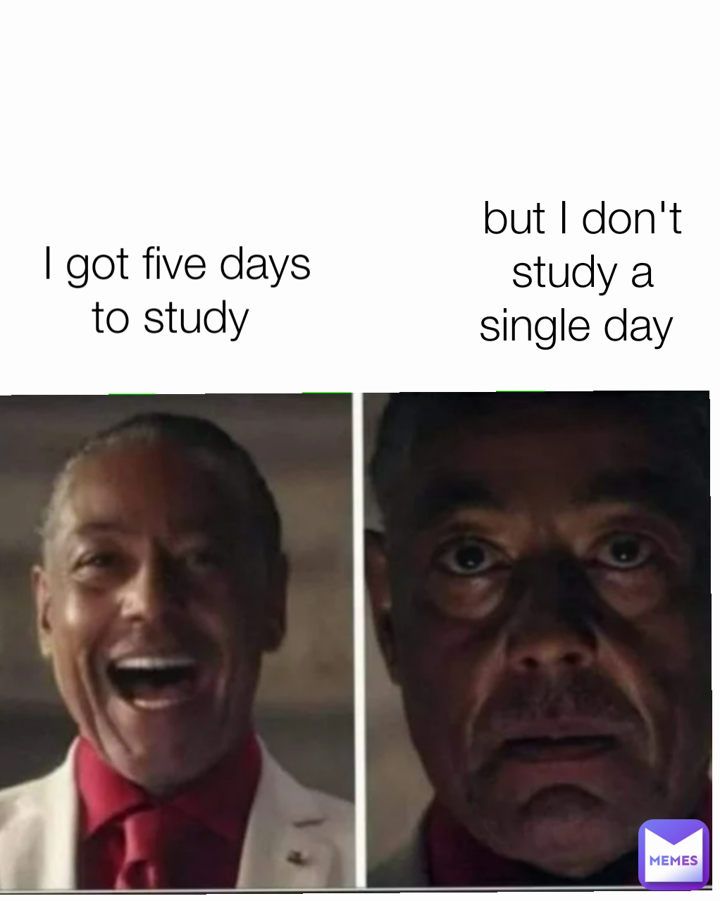 but I don't study a single day I got five days to study | @HARMOR3 | Memes