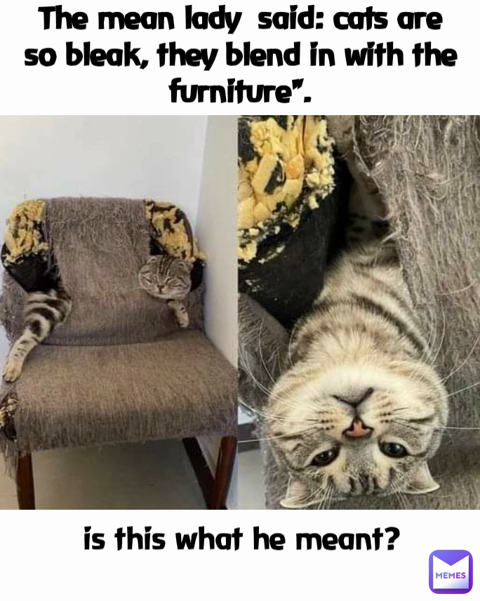 is this what he meant? The mean lady said: cats are so bleak, they ...