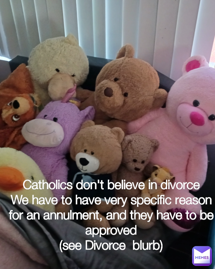 Catholics don't believe in divorce We have to have very specific reason ...