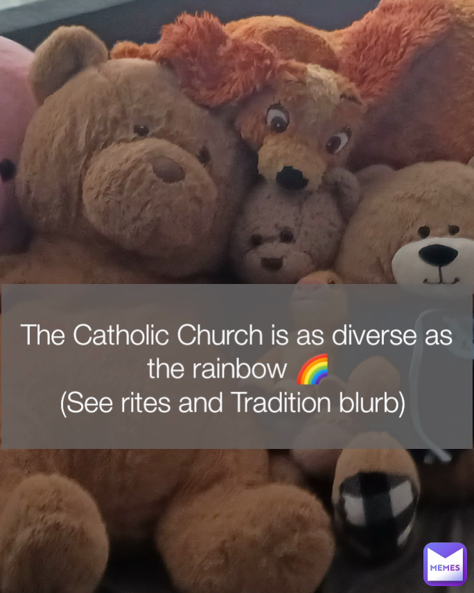 The Catholic Church is as diverse as the rainbow 🌈 (See rites and ...