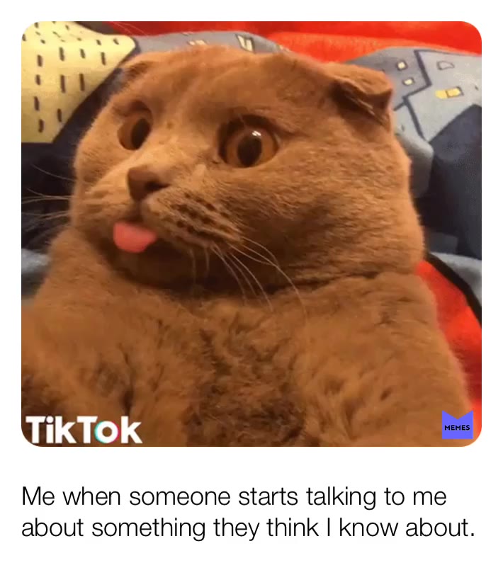 Post by @snickerdoodle4life | Memes