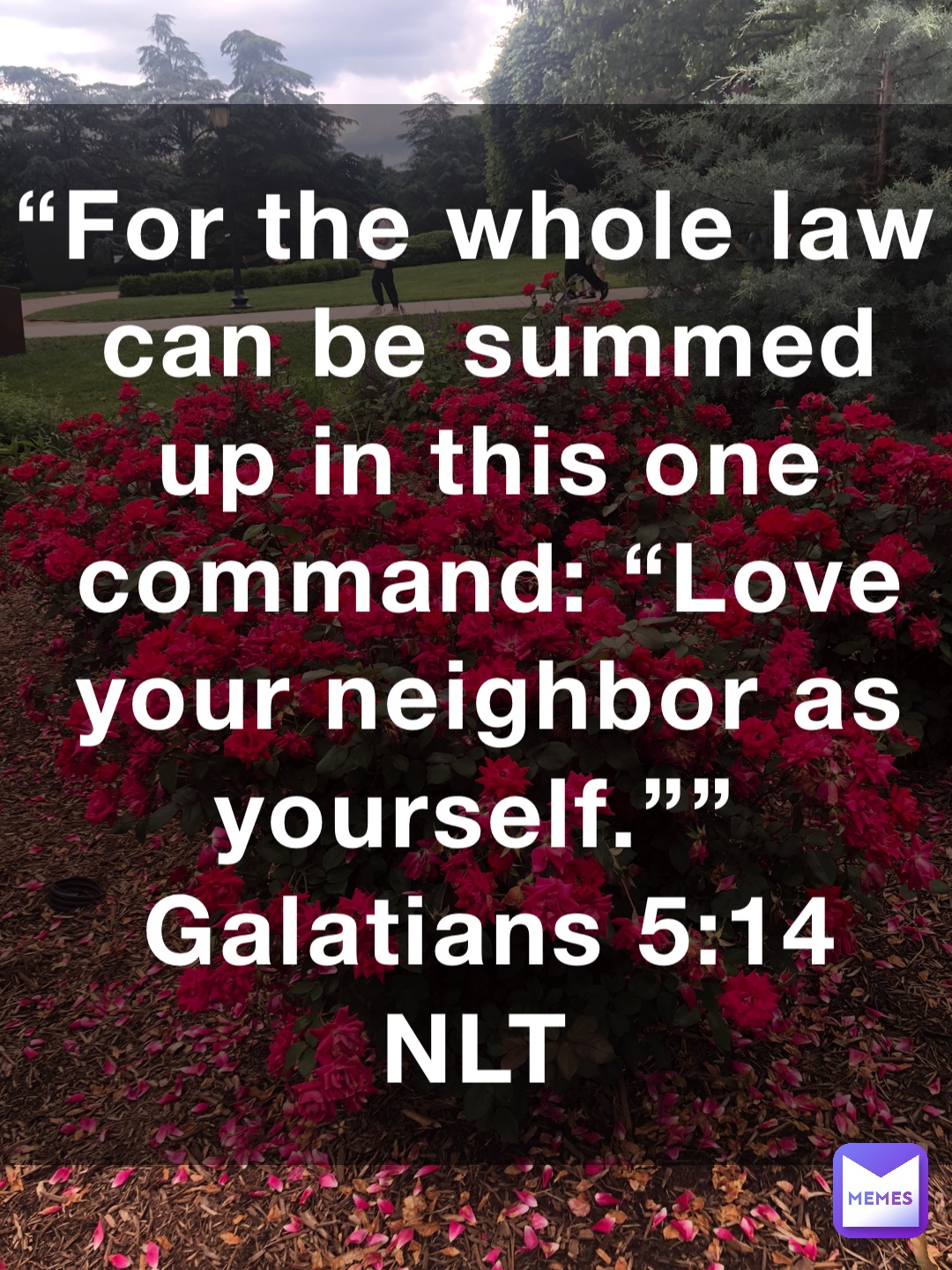 For The Whole Law Can Be Summed Up In This One Command Love Your for-the-whole-law-can-be-summed-up-in-this-one-command-love-your