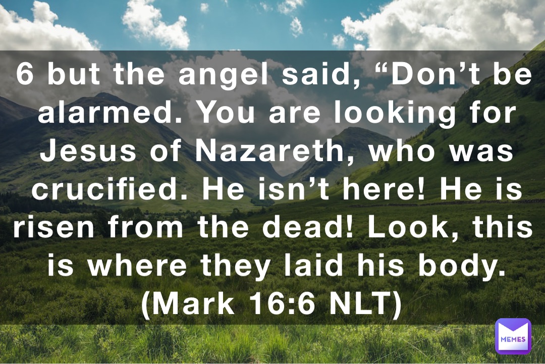 6 but the angel said, “Don’t be alarmed. You are looking for Jesus of ...