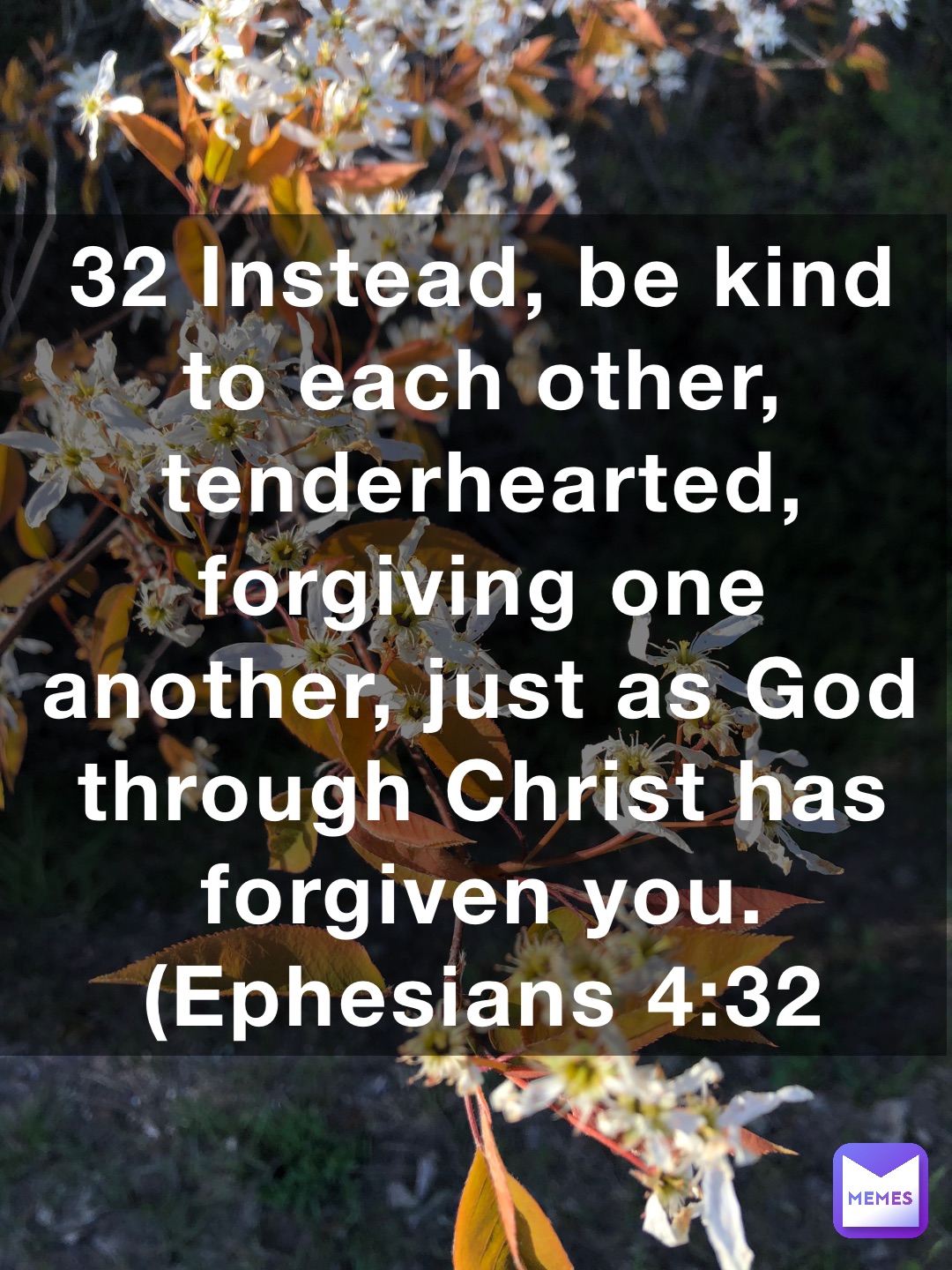 32 Instead, be kind to each other, tenderhearted, forgiving one another ...