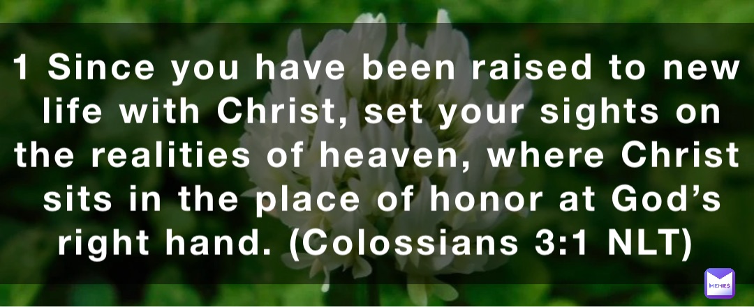 1 Since you have been raised to new life with Christ, set your sights ...