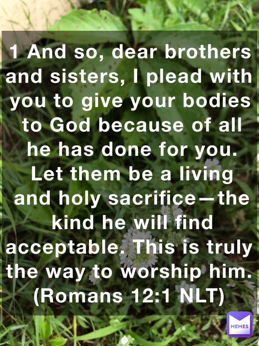 1 And so, dear brothers and sisters, I plead with you to give your ...