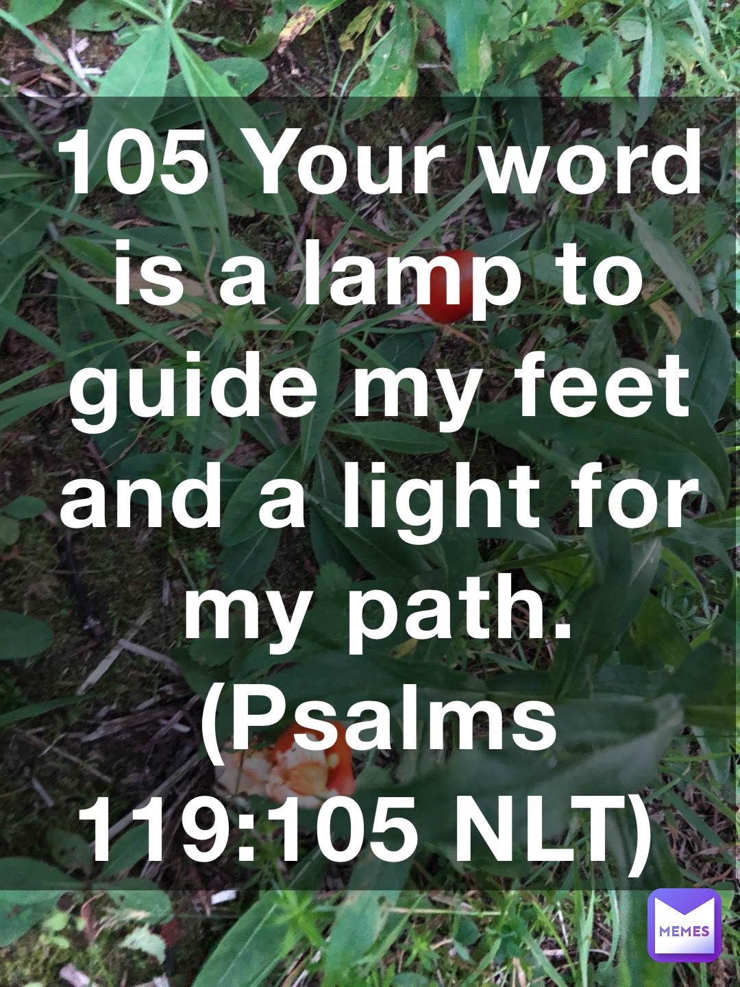 105 Your word is a lamp to guide my feet and a light for my path ...