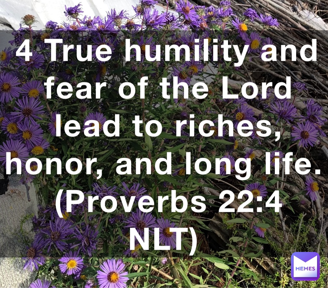 4 True humility and fear of the Lord lead to riches, honor, and long ...