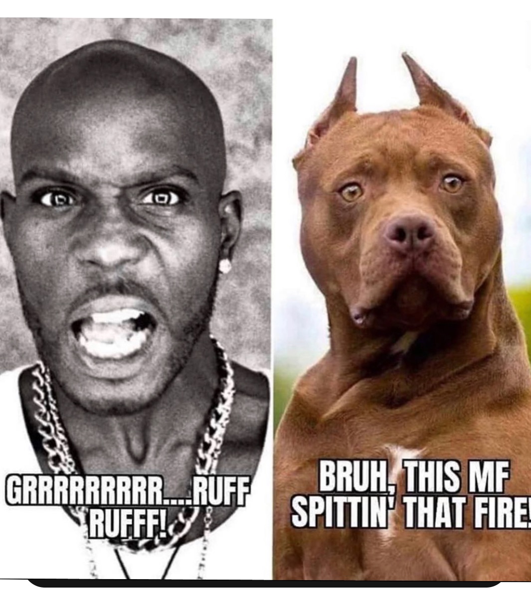 Post by @Greyson_Ruff | Memes