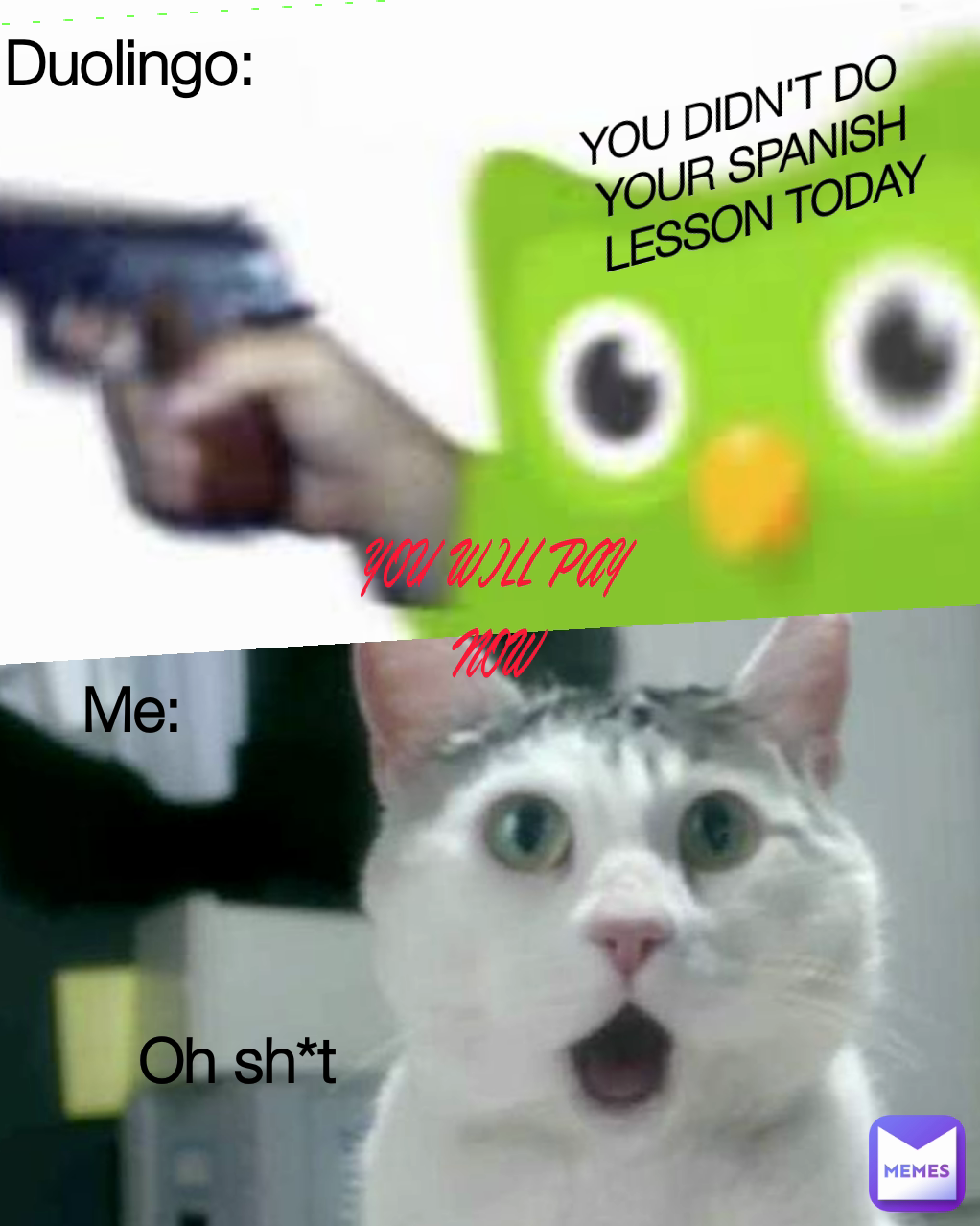 YOU DIDN'T DO YOUR SPANISH LESSON TODAY Oh sh*t YOU WILL PAY NOW Type ...