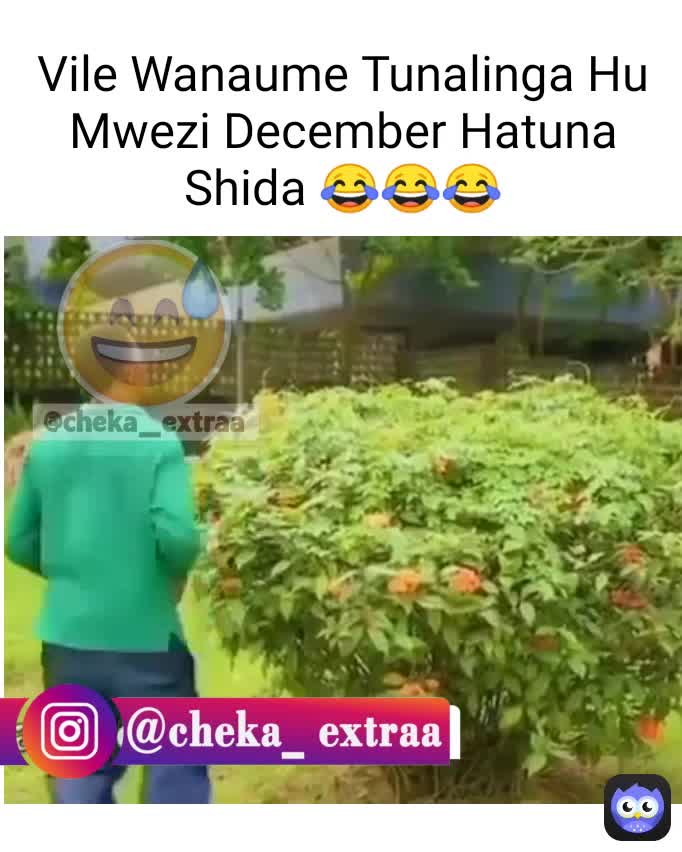 Post by @cheka_extra | Memes