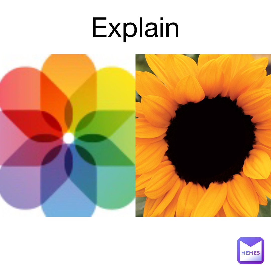 Explain Text Here FishThatAteFish Memes