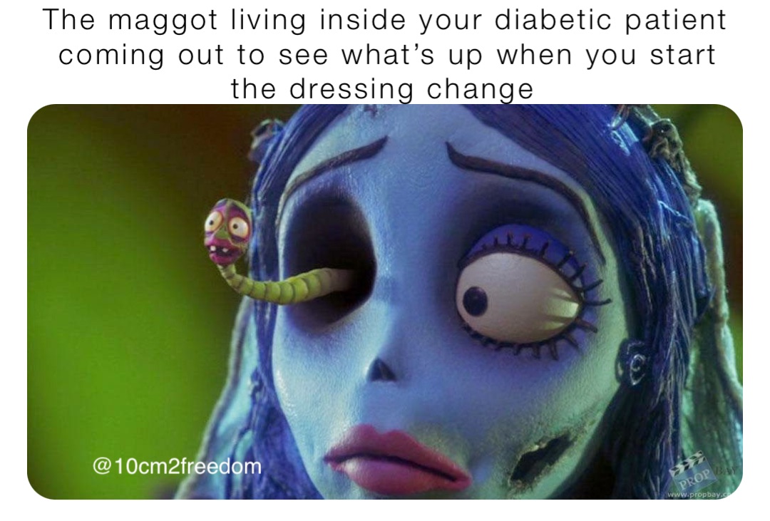 The maggot living inside your diabetic patient coming out to see what’s ...