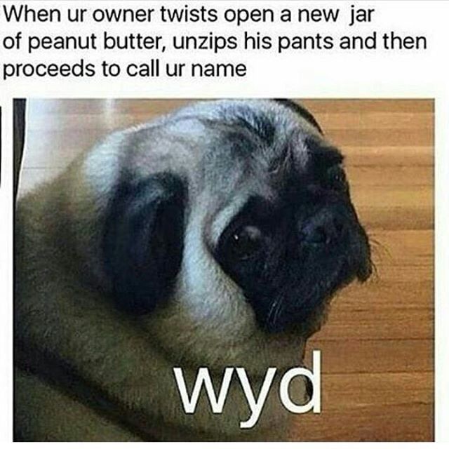 Post by @Barry_the_shrek | Memes