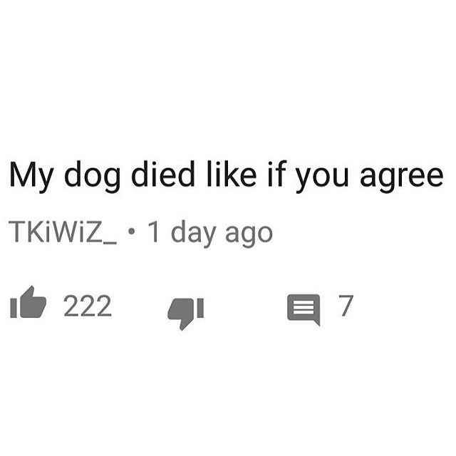 Post by @Barry_the_shrek | Memes