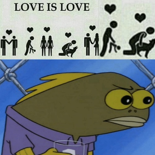 Post by @Barry_the_shrek | Memes