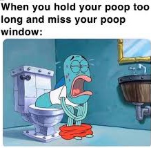 Post by @Barry_the_shrek | Memes