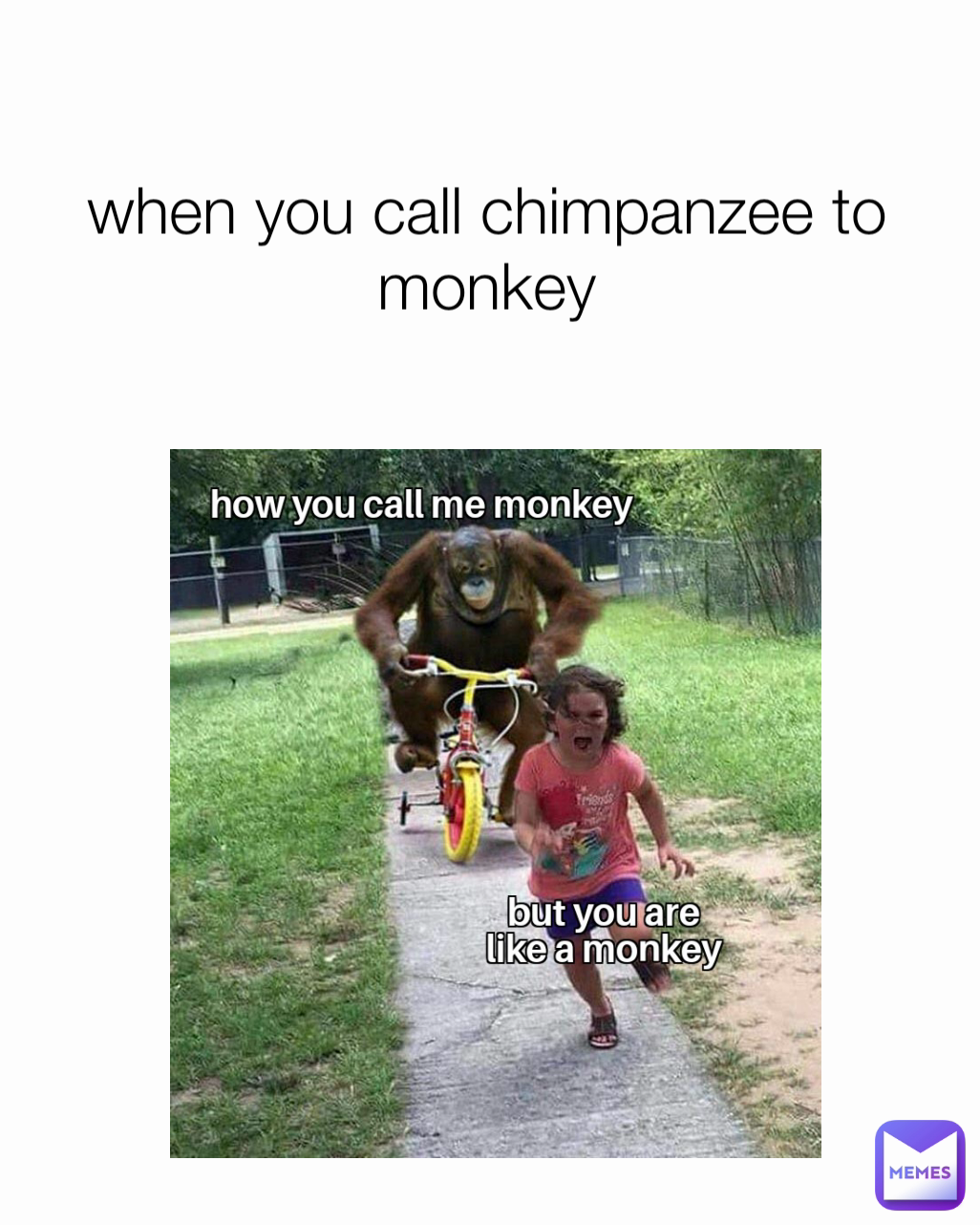 when you call chimpanzee to monkey | @PlatinumNET | Memes