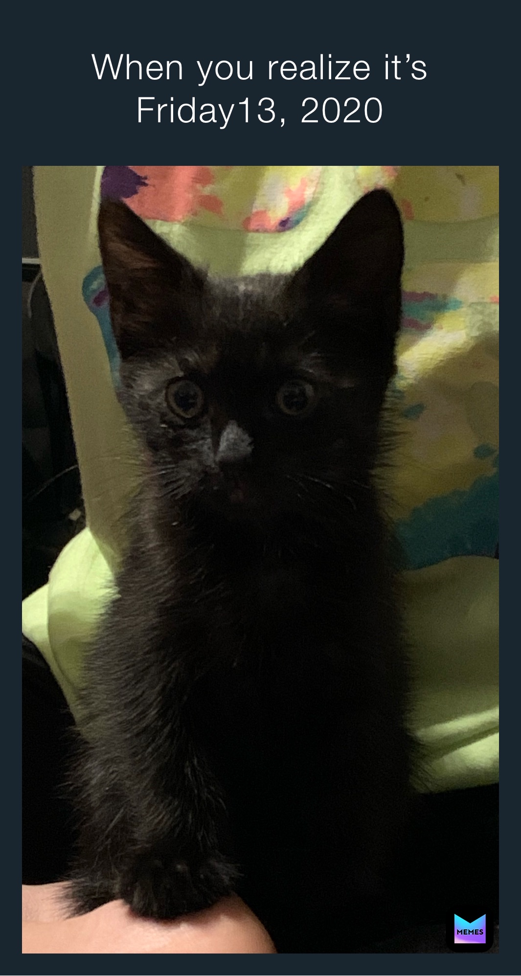 When you realize it’s Friday13, 2020 | @RayRay_2020 | Memes