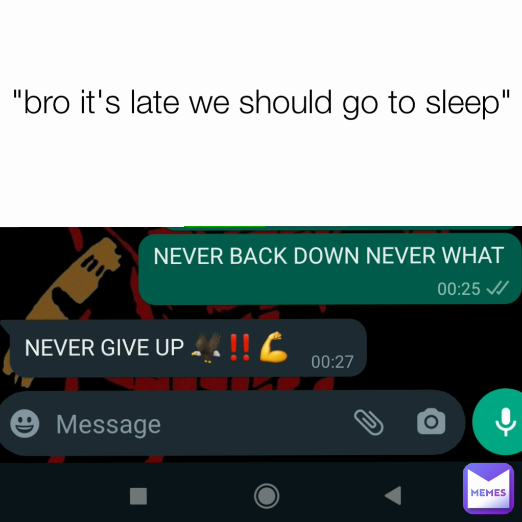 "bro it's late we should go to sleep" | @insan9ty | Memes