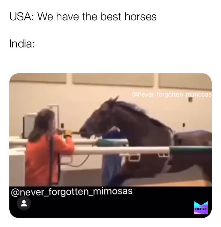 Post by @n_f_mimosas | Memes