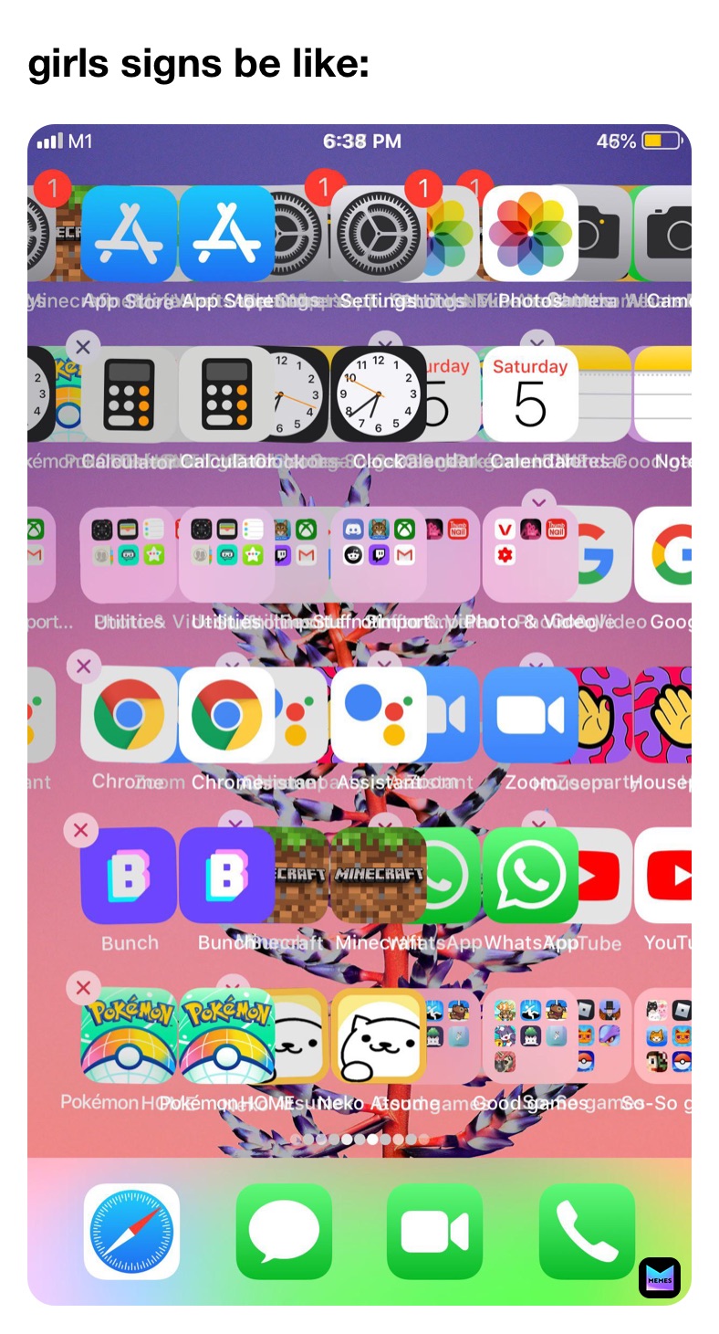 girls signs be like: | @The_Commenter | Memes