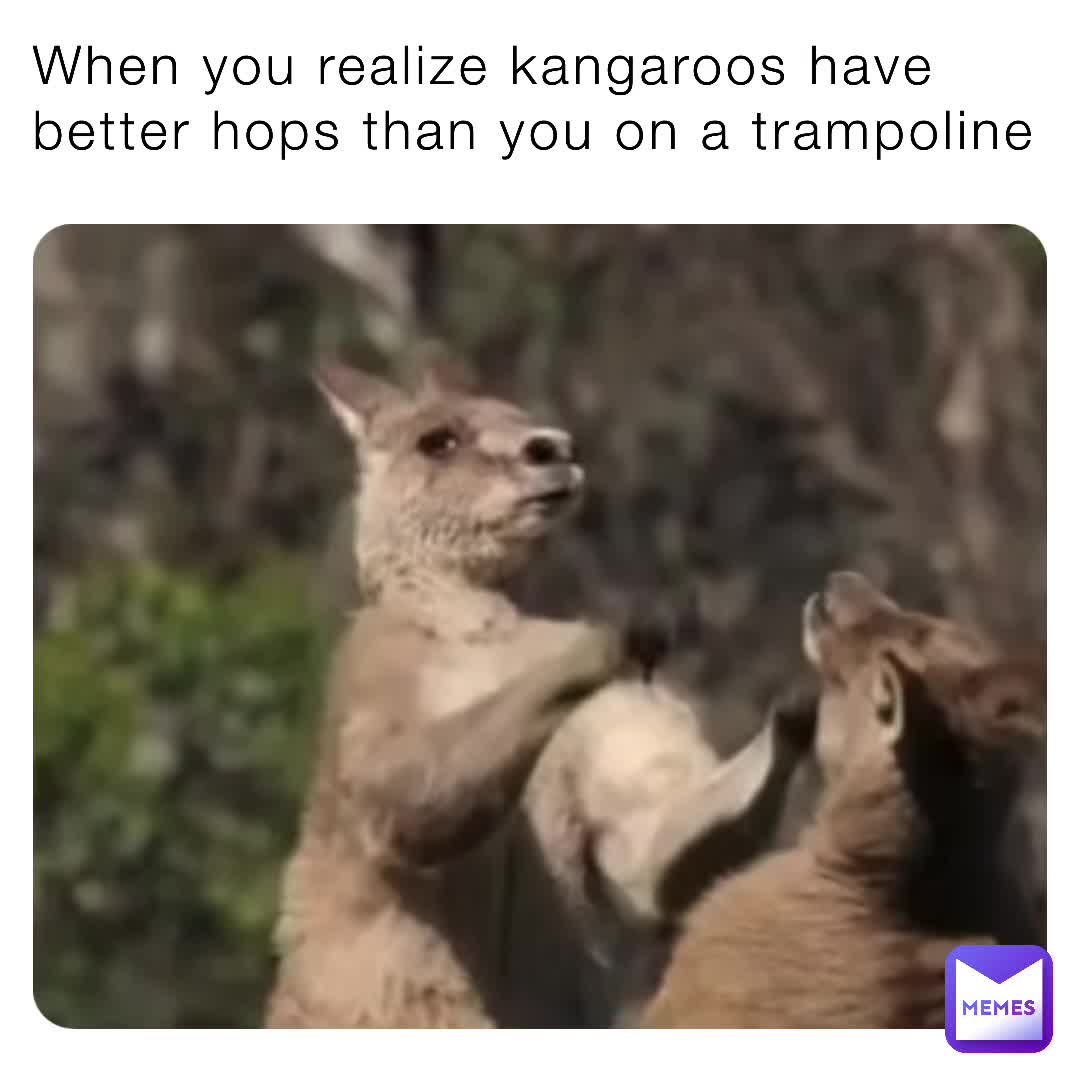 When you realize kangaroos have better hops than you on a trampoline ...