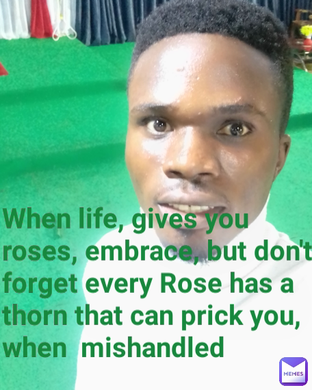 When life, gives you roses, embrace, but don't forget every Rose has a ...