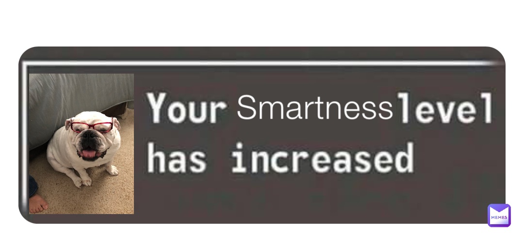 Smartness | @The_cat_72 | Memes