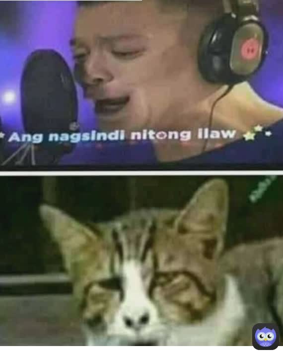 Post by @joshuacuartero88 | Memes