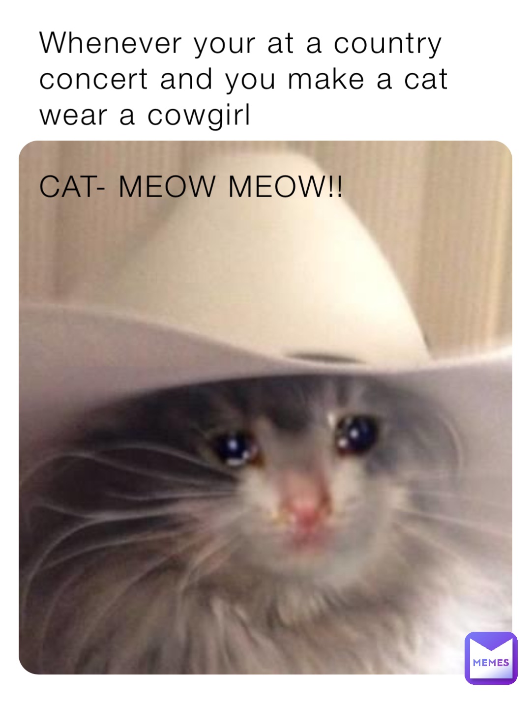 Whenever your at a country concert and you make a cat wear a cowgirl ...