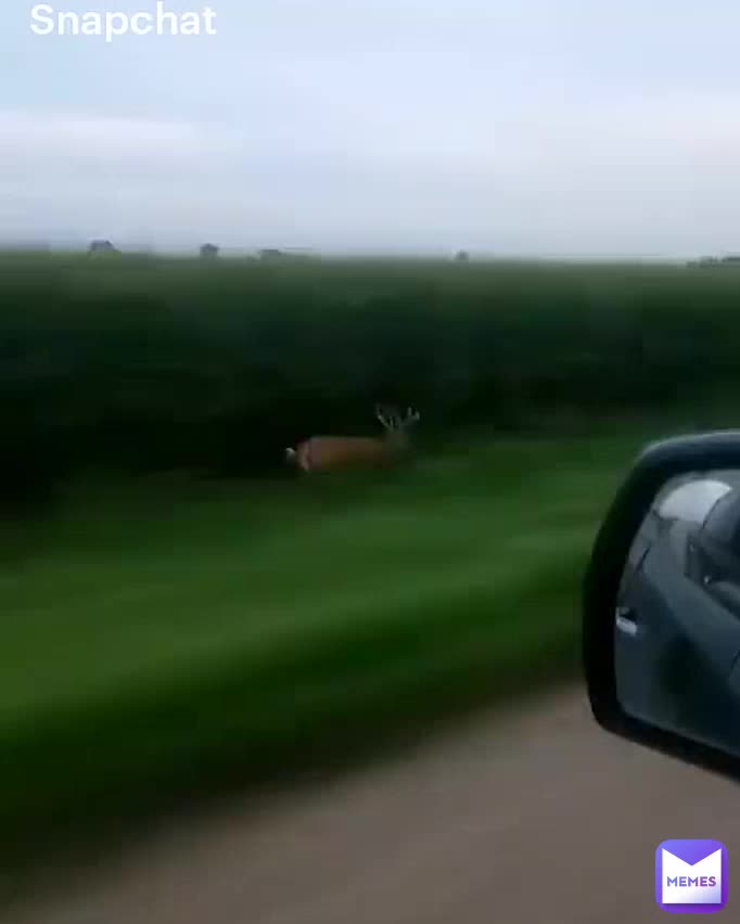 Post by @.Dedra. | Memes